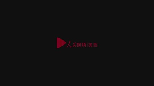 Beyond Hollywood: Namer’s Global Vision Meets China’s Narrative ...