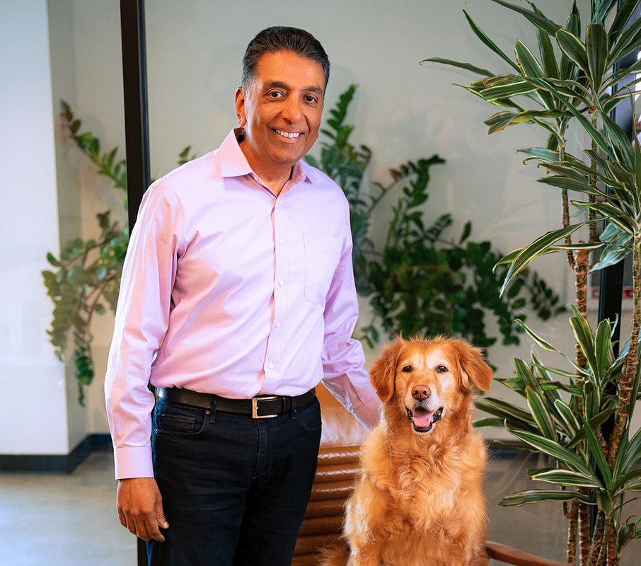 Golden Pet Brands Taps CPG Vets to Lead Premium Pet Food Charge ...