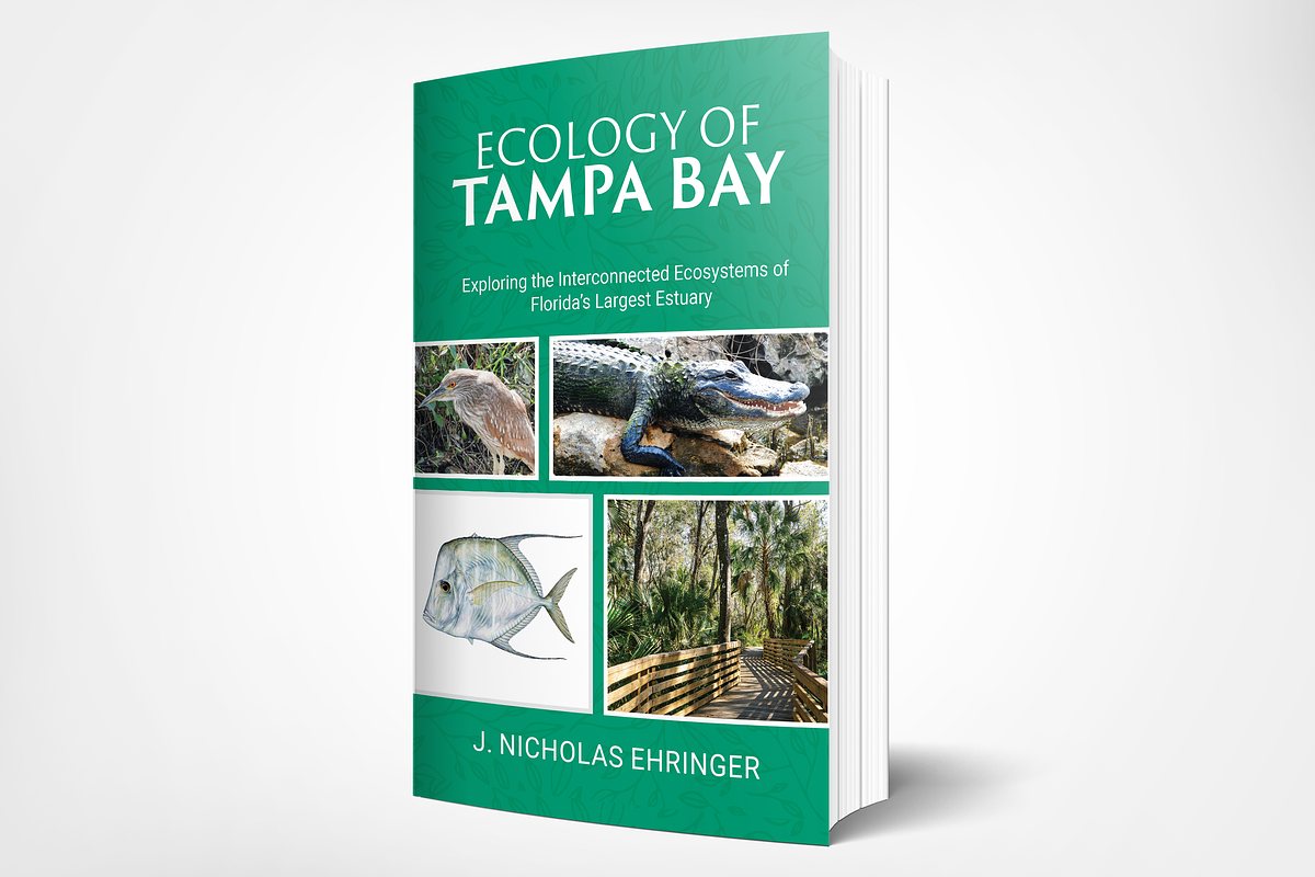 Tampa Bay's Hidden Value: A New Blueprint for Ecosystem Resilience ...