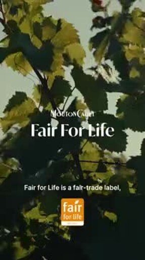 Mouton Cadet Uncorks a New Growth Signal: The Fair Trade Advantage ...