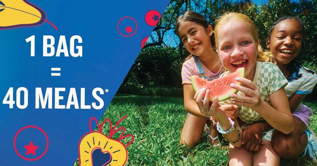 Beyond the Reusable Bag: Food Lion’s Strategic War on Summer Hunger ...