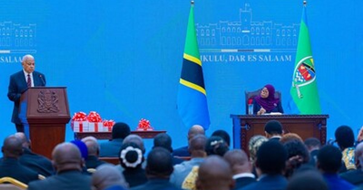 Tanzania's Reckoning: A Nation Divided Over Post-Election Violence ...