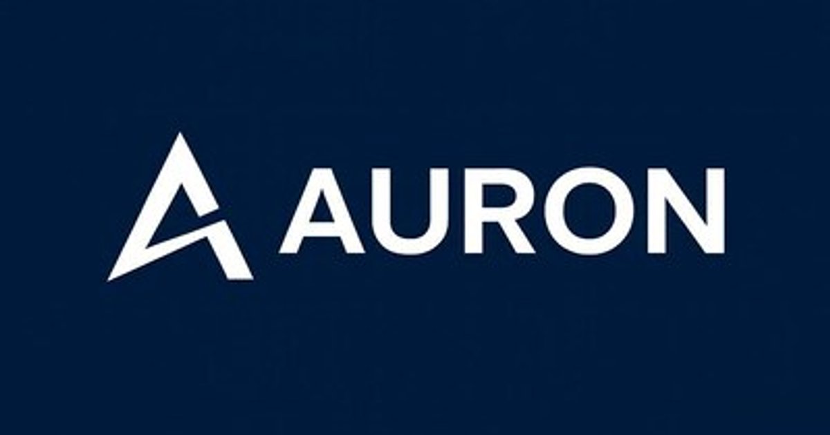 Chevron Backs AI Startup to Defend Energy Grids From Drone Threats ...