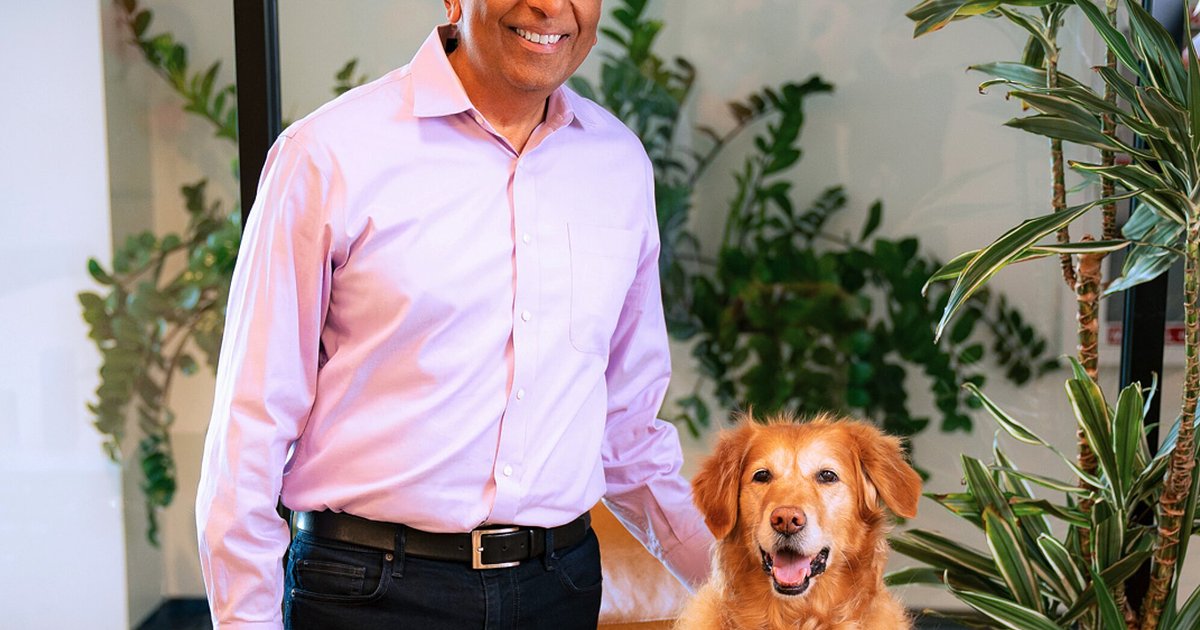 Golden Pet Brands Taps CPG Vets to Lead Premium Pet Food Charge ...