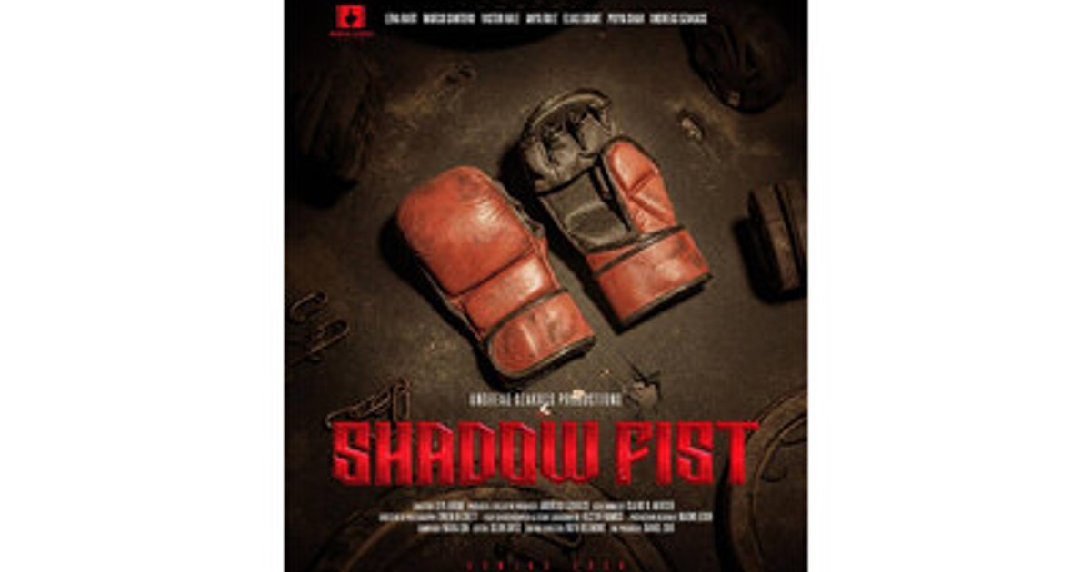 Shadow Fist: The New Indie Film Blueprint for Art and Investment ...