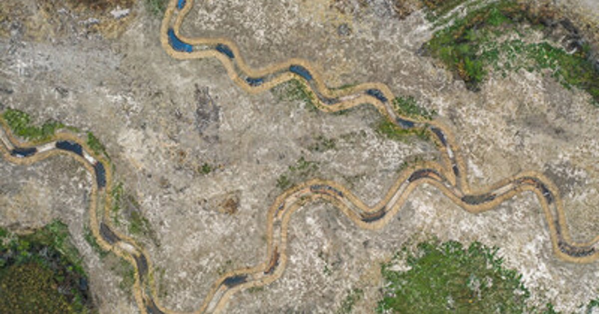 Private Equity Bets Big on Restoring America's Wetlands - BriefGlance.com
