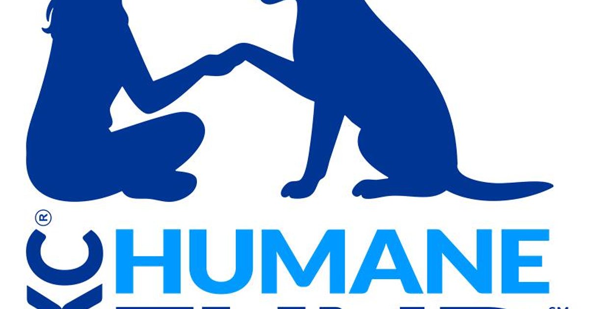 AKC Fund Targets Vet Bills to Combat Pet Ownership's Silent Crisis ...