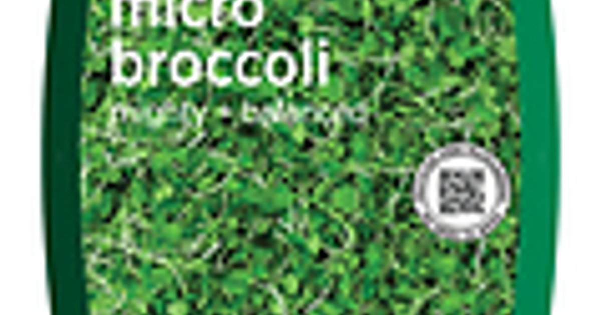 Vertical Farming's Second Act: How Patient Capital Rescues Agri-Tech's ...