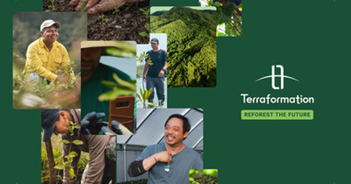 Terraformation’s Blueprint for Restoring Forests at Scale - BriefGlance.com