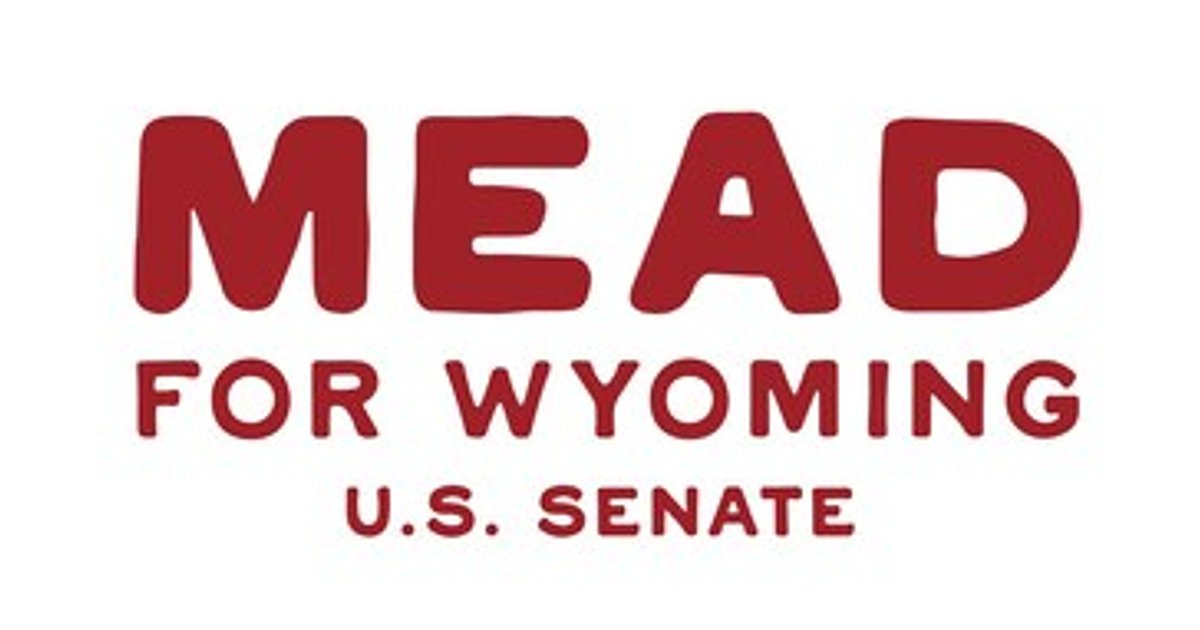 Rancher, Distiller, Engineer: Sam Mead Enters Wyoming Senate Race ...