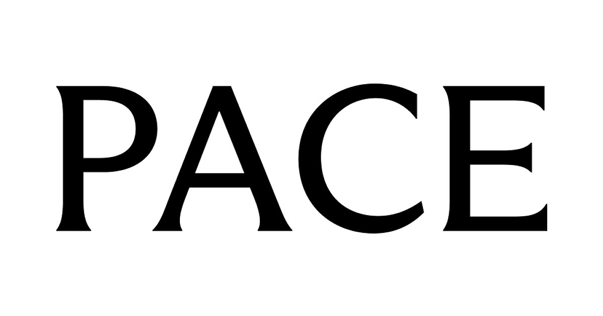 Pace Secures $46M to Deploy AI Workforce in Insurance Industry ...
