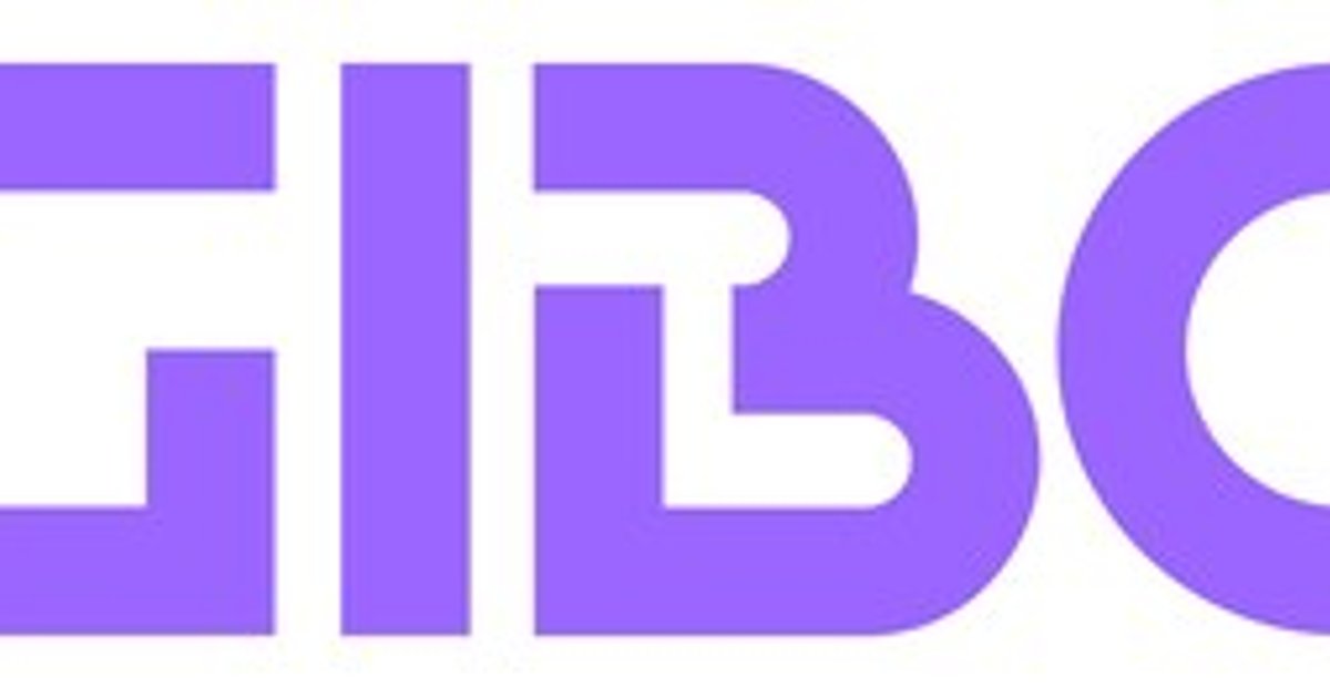 GIBO's AI Gambit: From Animation to Aerial Intelligence Services ...