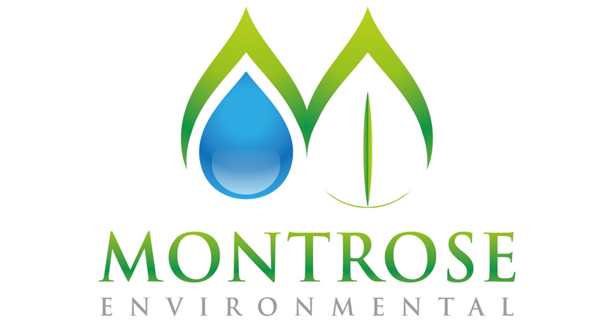 Montrose Turns Strategic Pause into Record Profits, Eyes New Deals ...