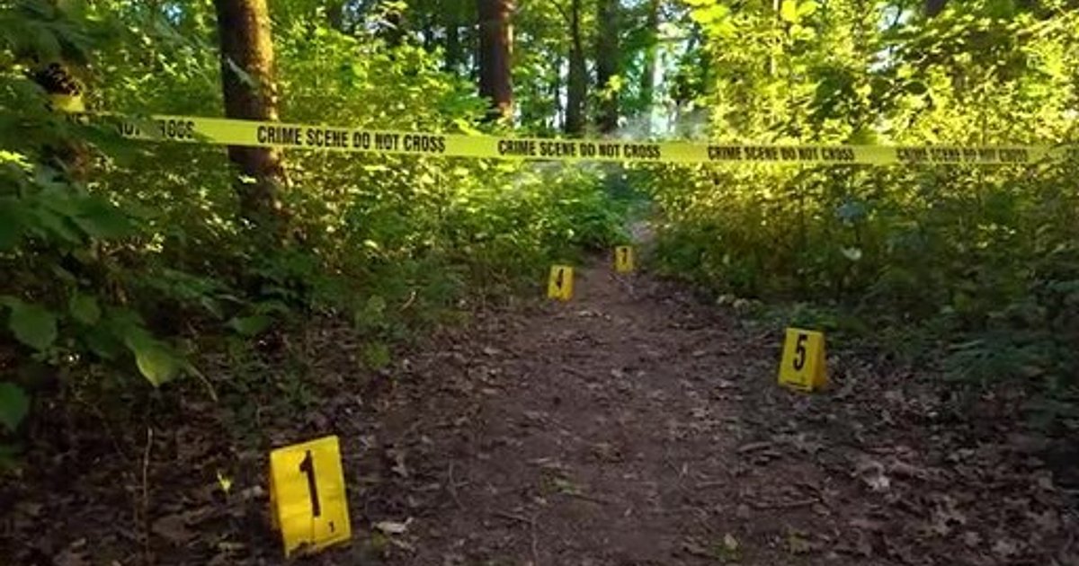Garrett's Vortex CSI Redefines Forensic Metal Detection - BriefGlance.com
